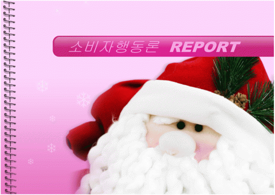 소비자행동과 주요마케팅사례개발및설명