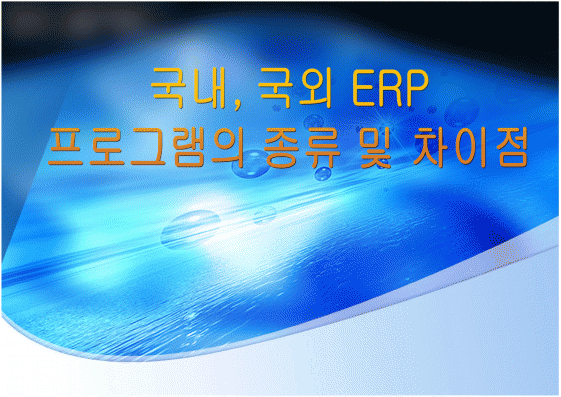 ERP 도입의 국내, 국외 프로그램의 종류 및 차이점