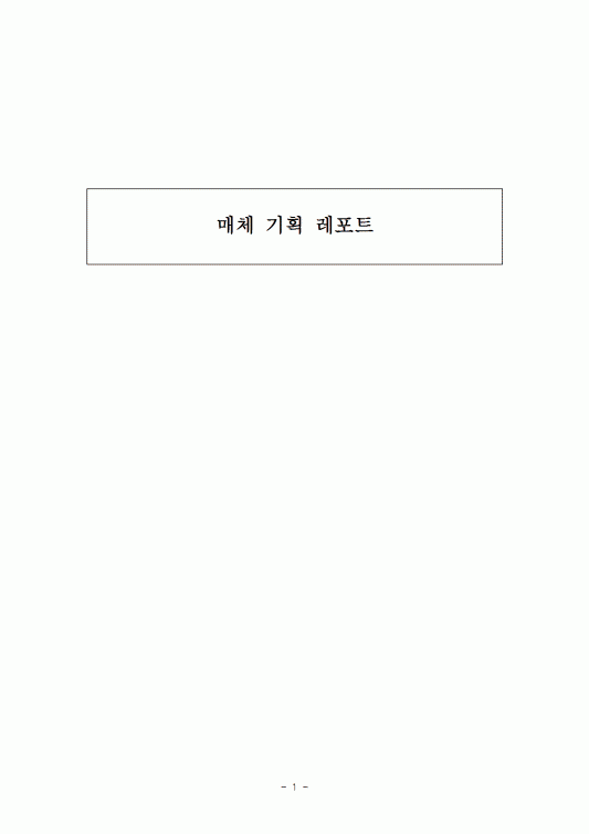 매체 기획 레포트(인쇄매체,전파매체,뉴미디어매체,DM매체,교통매체)