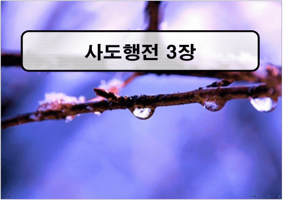 사도행전 3장 레포트 자료
