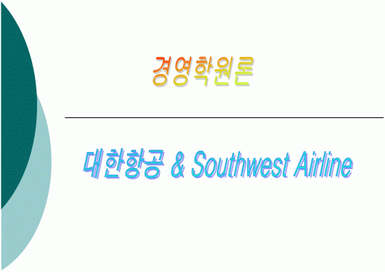 대한항공과 사우스웨스트 항공 비교분석