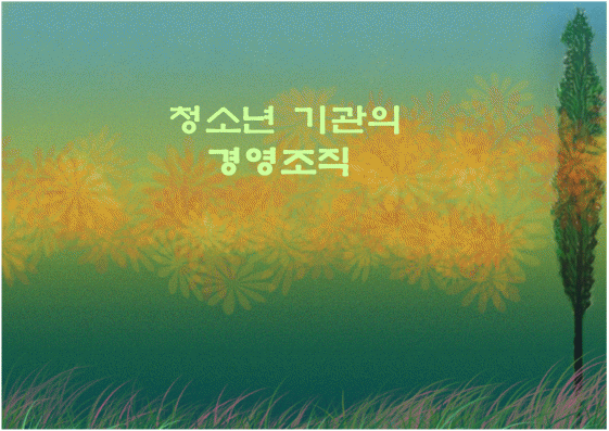 청소년운영기관에 관하여(조직의 측면에서)