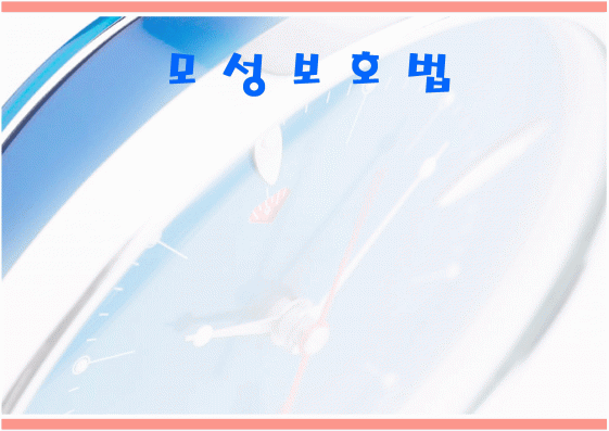 모성보호법 요약