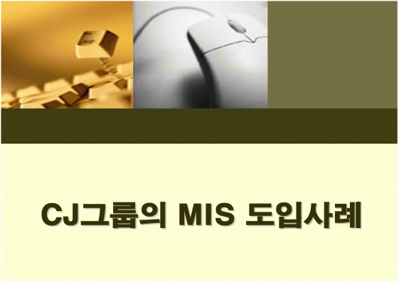CJ그룹의 MIS 도입사례