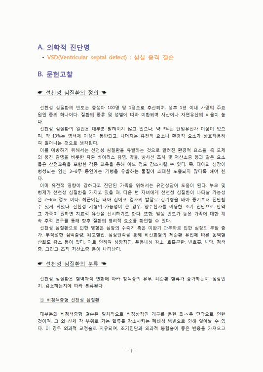 VSD케이스 레포트 자료