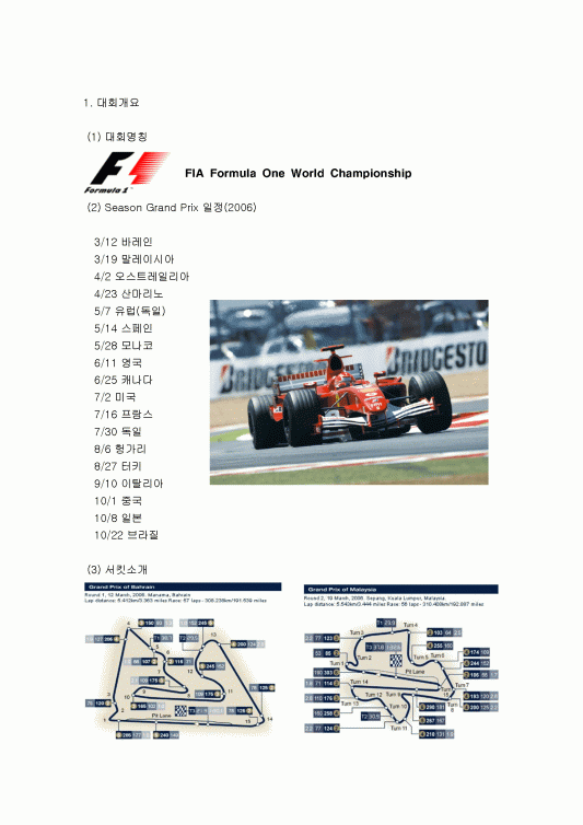 [사회과학] F1 그랑프리