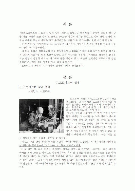 프로이드-정신