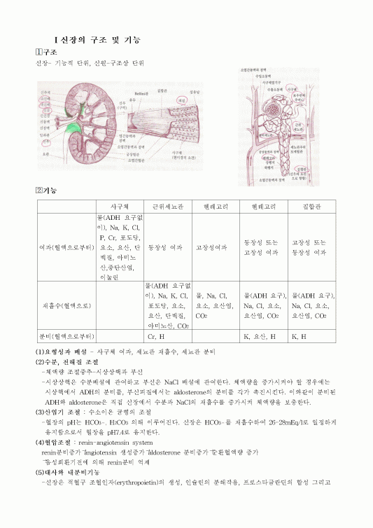 [논문] 신부전(CRF) 병태생리, 치료 및 투석환자 간호
