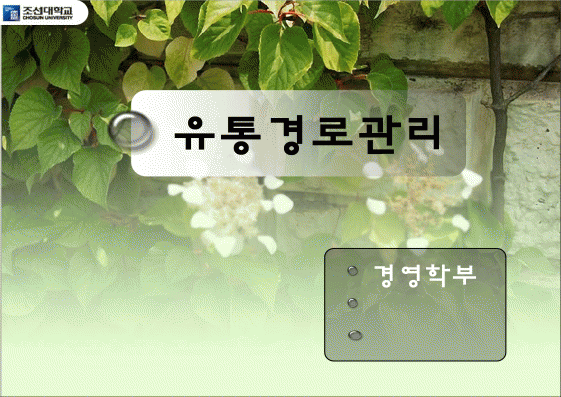 [사회과학] 유통경로관리