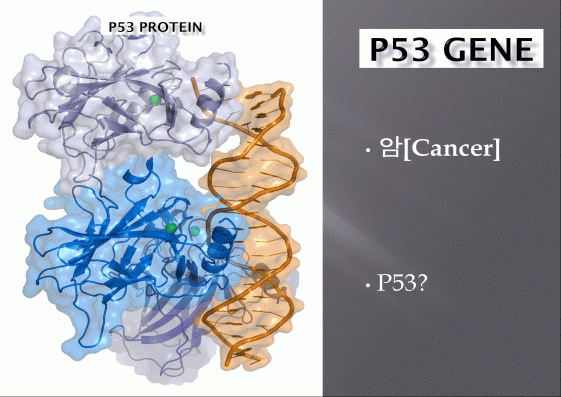 암[Cancer],P53 Gene, Protein의 정의 기작 발생에 대하여