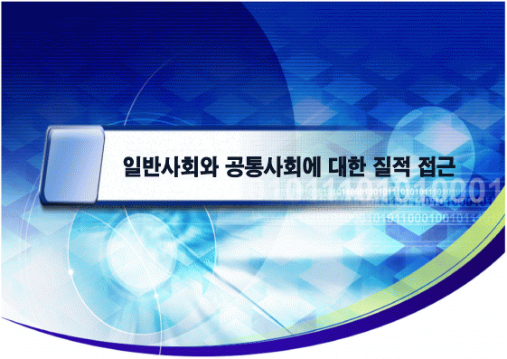 일반사회와 공통사회에 대한 질적 비교 연구 PPT자료