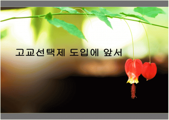 고교선택제에 관한 모든것 PPT자료