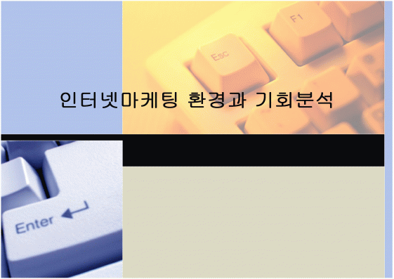 인터넷마케팅 환경과 기회분석