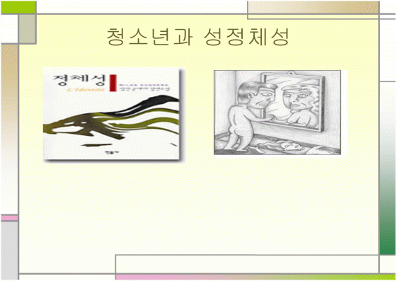 청소년의 성정체성의 문제