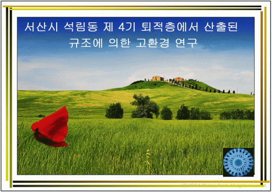 서산시 석림동 제 4기 퇴적층에서 산출된 규조에 의한 고환경 연구