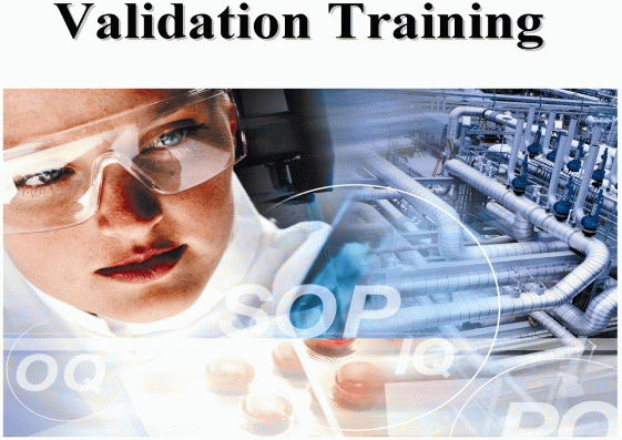 멸균기 validation