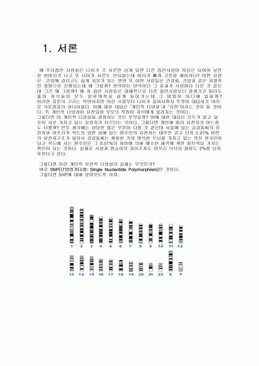 염기 다형성에 대하여..