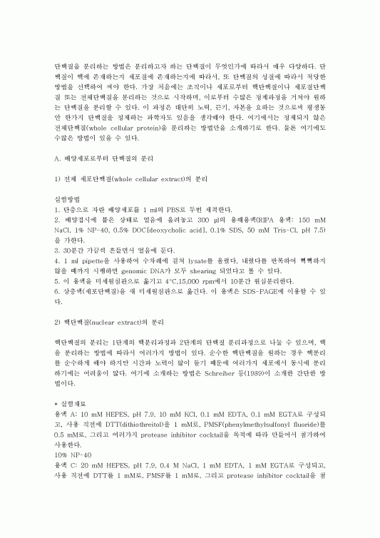 전기영동 전기영동실험 단백질 분리