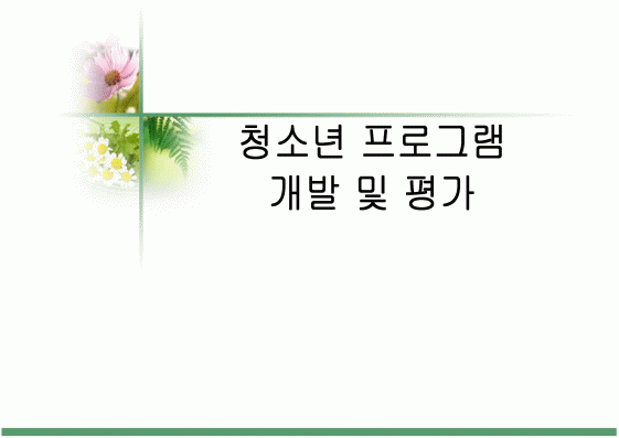 청소년 프로그램 개발 및 평가