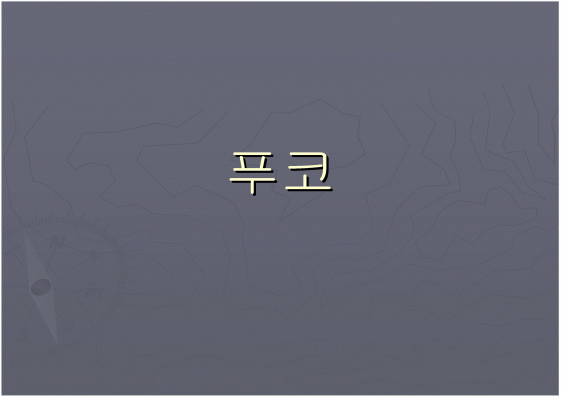 푸코에 관한 모든것