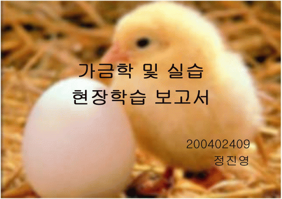 예산농장 현장학습 보고서