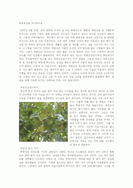 숲기행문-북한산을 다녀와서