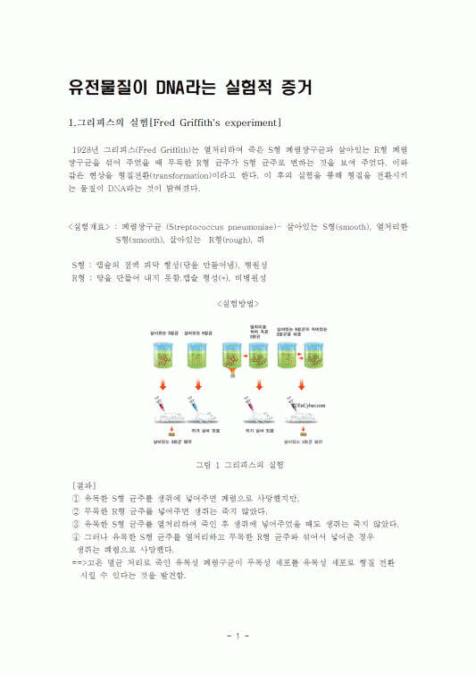 DNA가 유전물질이라는 실험적 증거