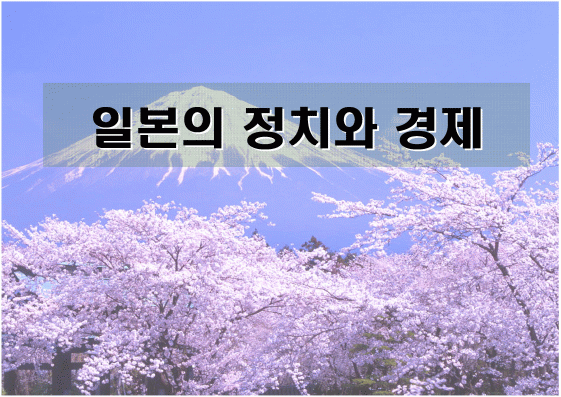 [일본문화]일본의 정치와 경제