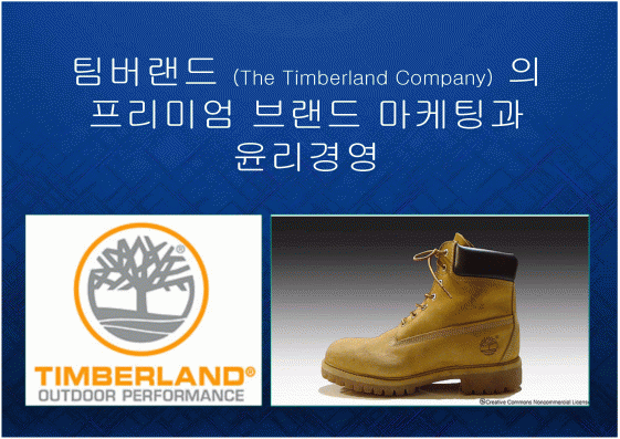 팀버랜드 (The Timberland Company) 의 프리미엄 브랜드 마케팅과 CSR 기업의 사회적 책임과 윤리경영 케이스 발표 PPT