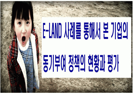 E-LAND 사례를 통해서 본 기업의 동기부여 정책의 현황과 평가