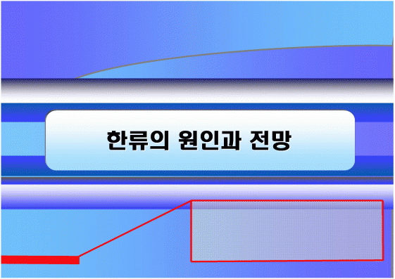 한류의 원인과 전망