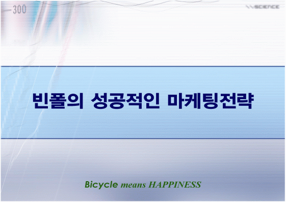 빈폴의 성공적인 마케팅전략