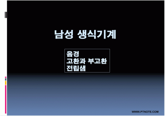 남성생식계 레포트 자료