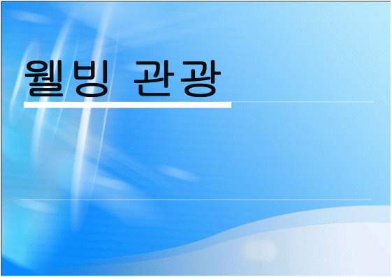 웰빙 관광에 대하여
