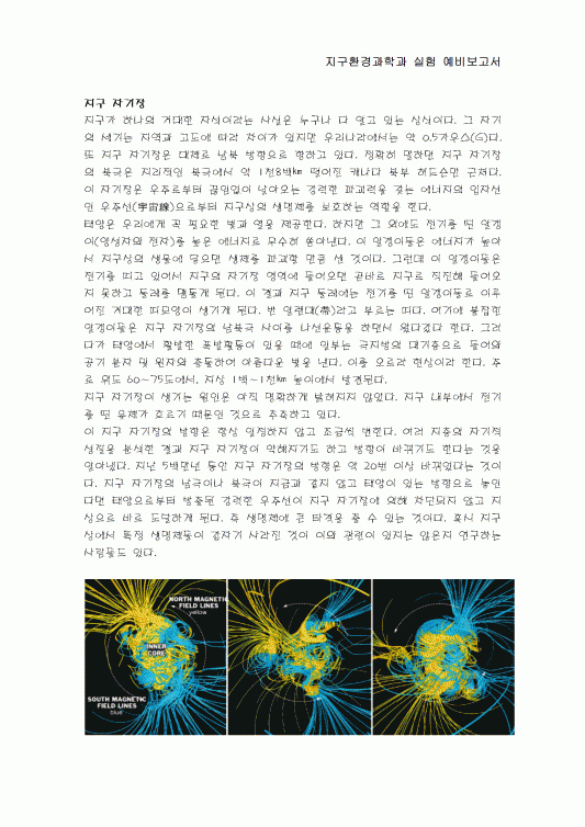 [지구환경] 지구 자기장에 대하여