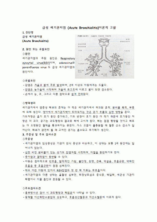 급성 세기관지염 (Acute Bronchiolitis)이론적 고찰