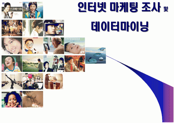 인터넷 마케팅 조사 및 데이터마이닝