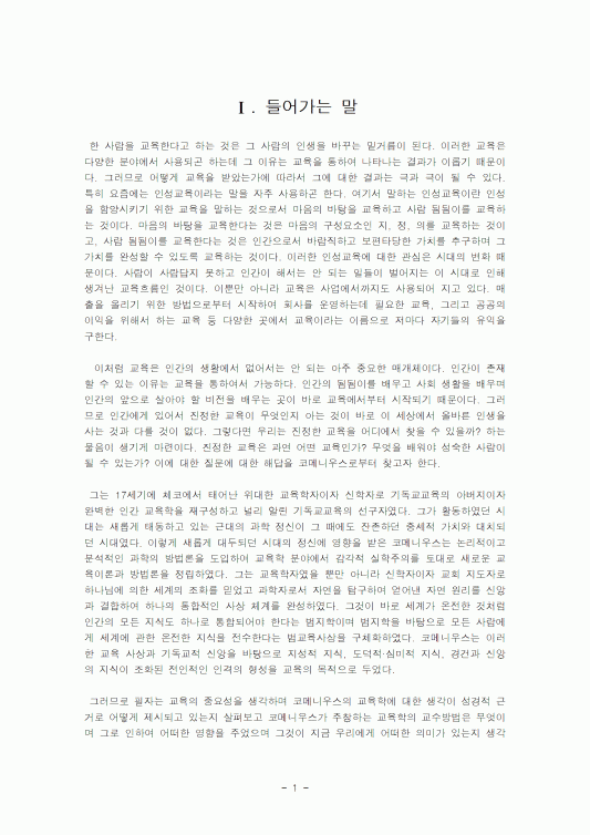 코메니우스 교육에 대한 보고서