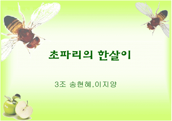 초파리의 한살이