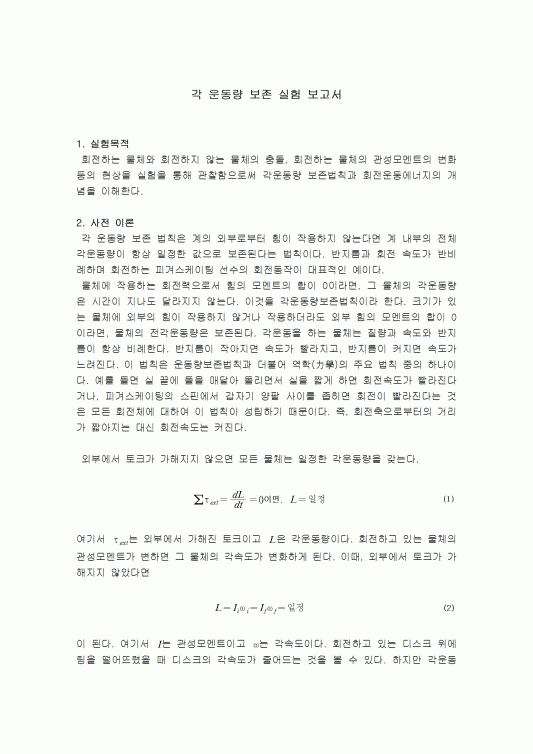 각 운동량 보존 실험 보고서