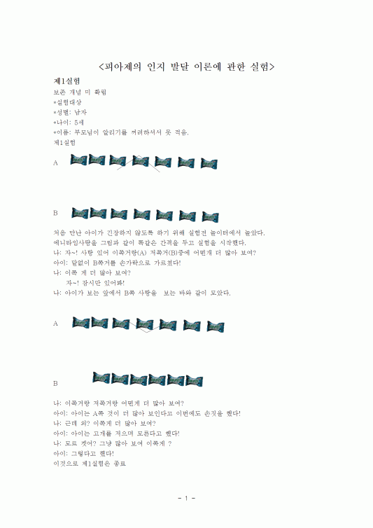 <피아제의 인지 발달 이론에 관한 실험>