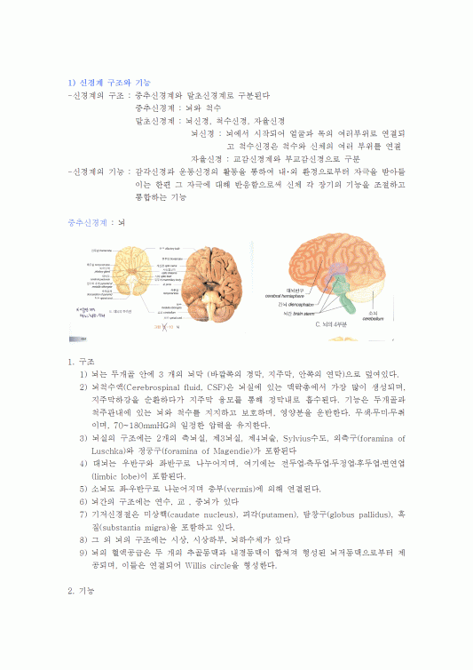 신경계에 대한 고찰
