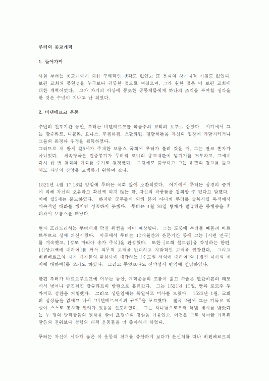 루터의 종교개혁 [인문과학]