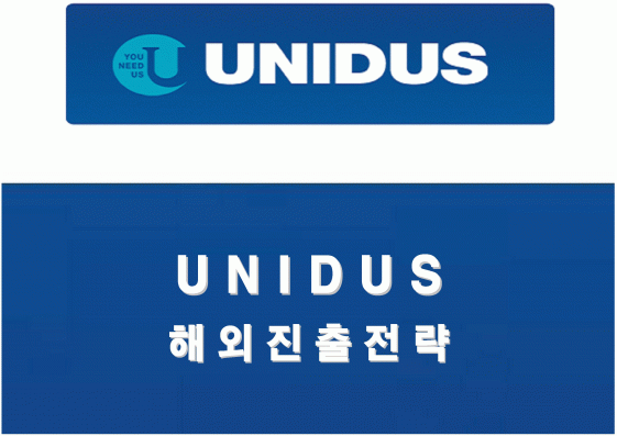 유니더스의 해외진출전략과 성공요인분석