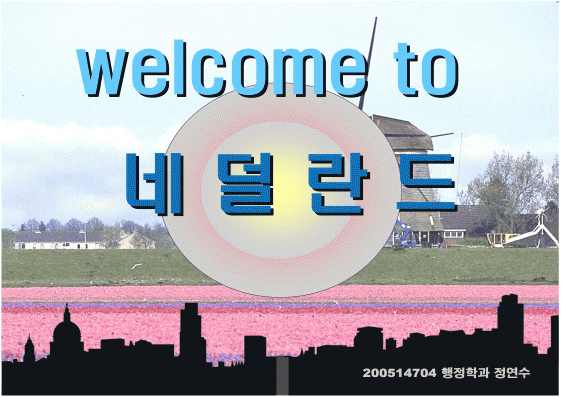 국제경영학적으로 접근한 네덜란드