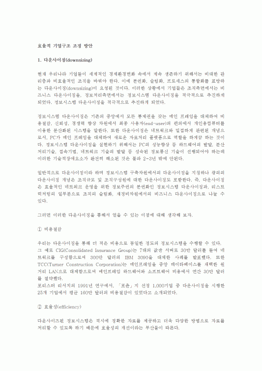 효율적 기업구조 조정 방안