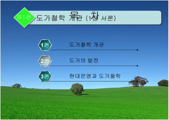 도가와 자연주의