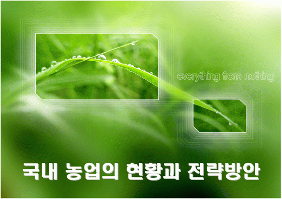 국내 농업의 현황 및 문제점과 향후 전략방안