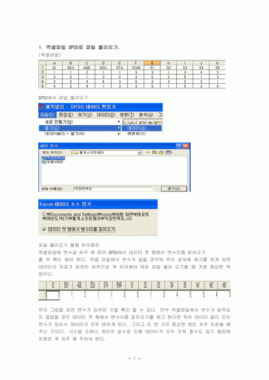 spss 기초사용법 설명