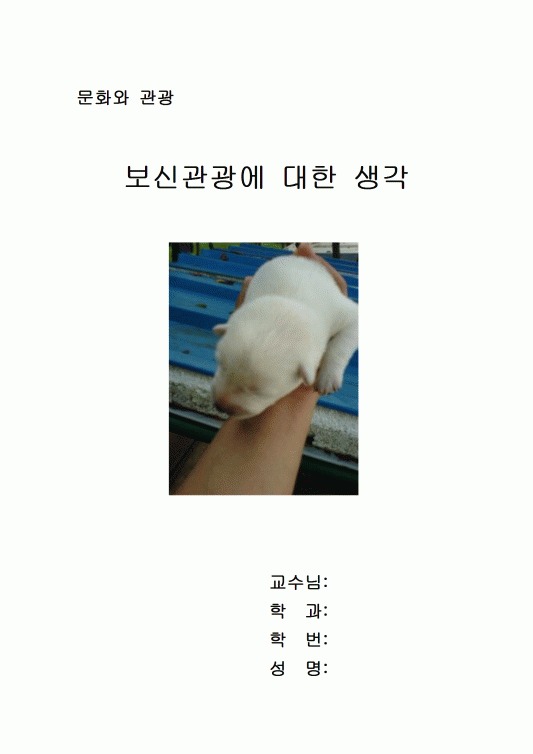 보신관광에 대한 생각